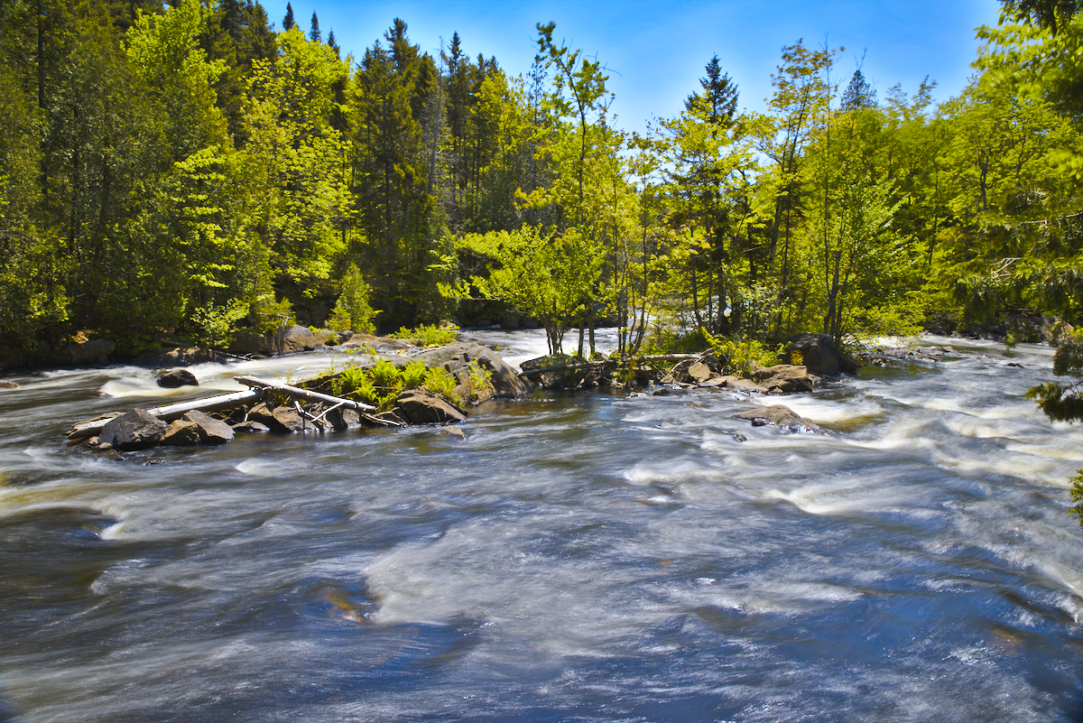 Riviere Diable - Parc du Mont-Tremblant - Québec - Cassonade et Camembert